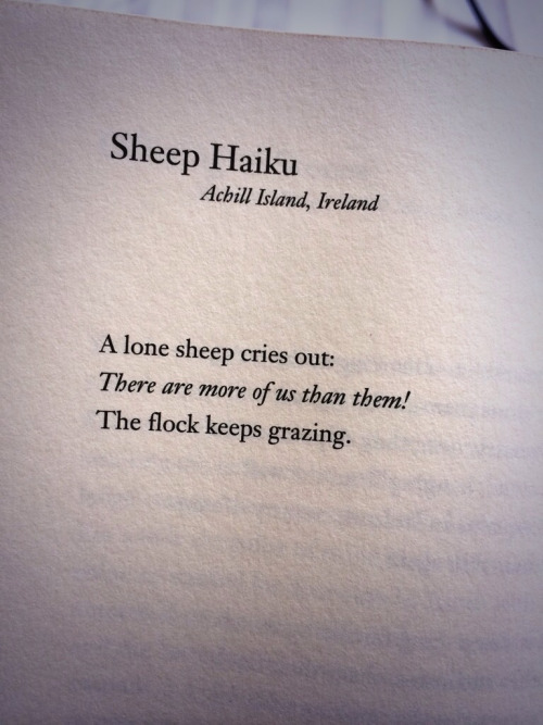 Rainy days and haiku… | Playing for Time