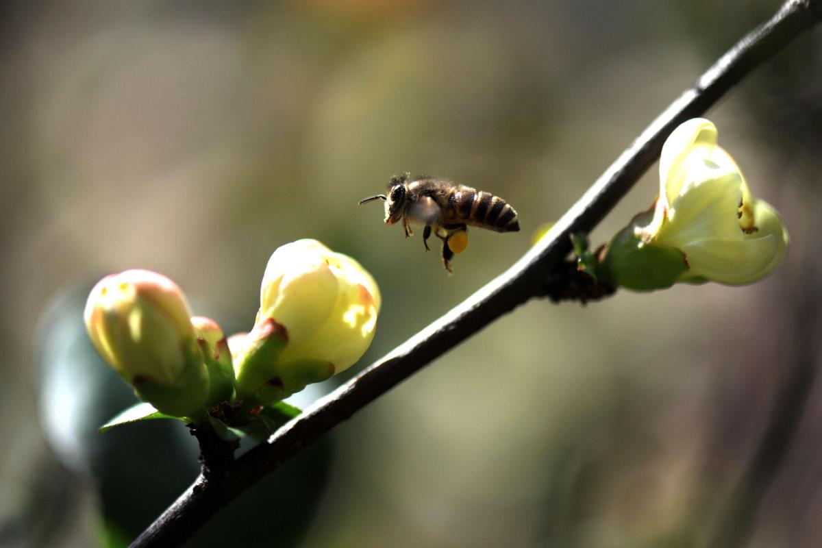 An almost-spring weekend… | Playing for Time